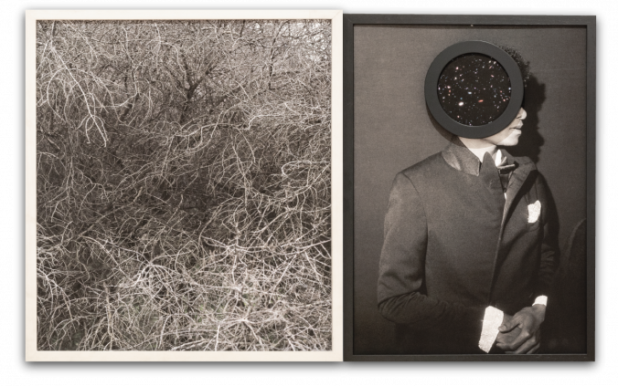 Todd Gray: Pluralities of Being | Palm Springs Art Museum