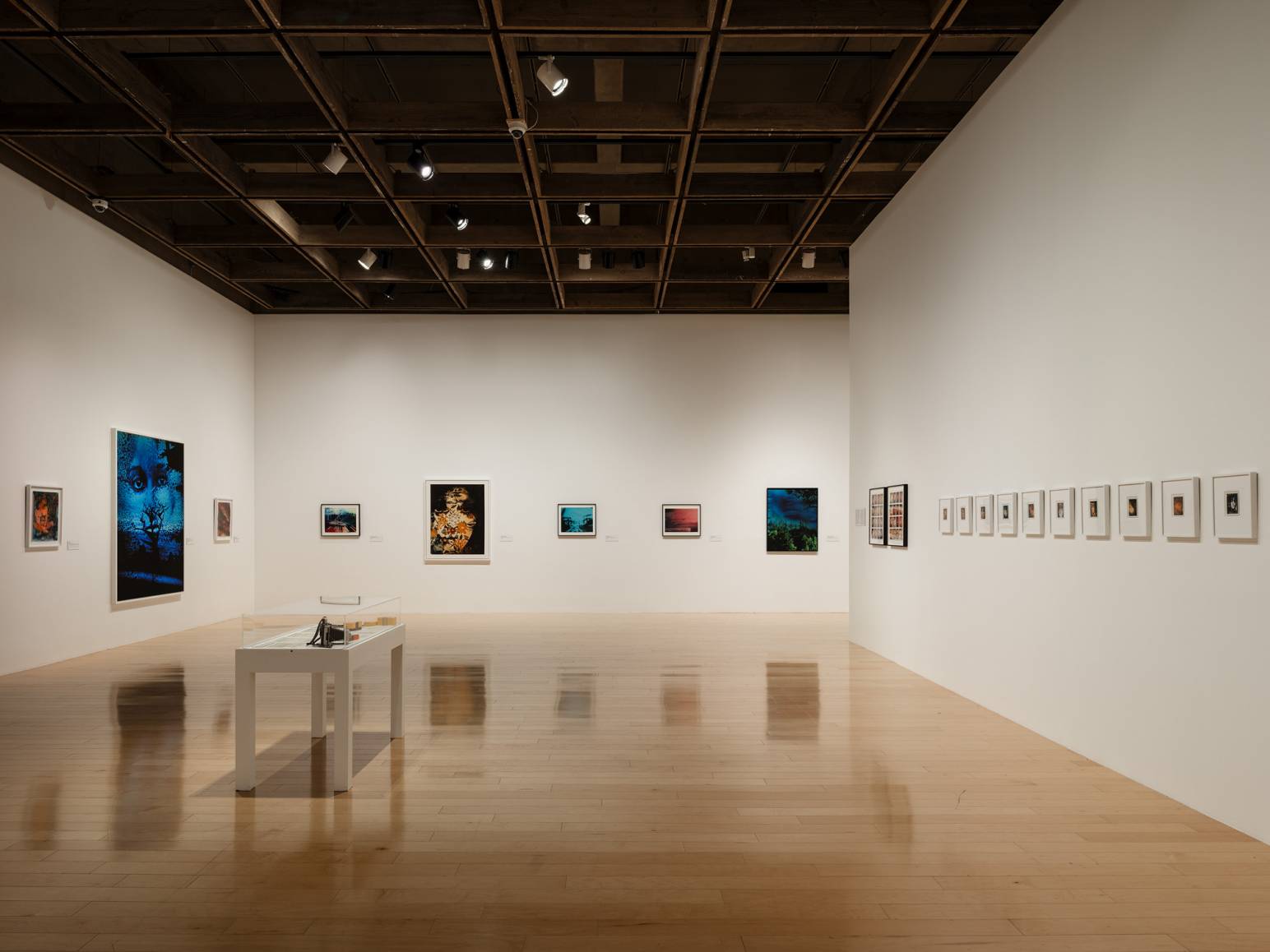 Kali, Artographer, 1932-2019 | Palm Springs Art Museum