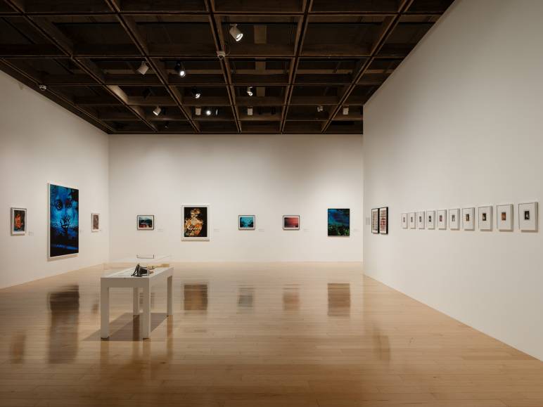 Kali, Artographer, 1932-2019 | Palm Springs Art Museum