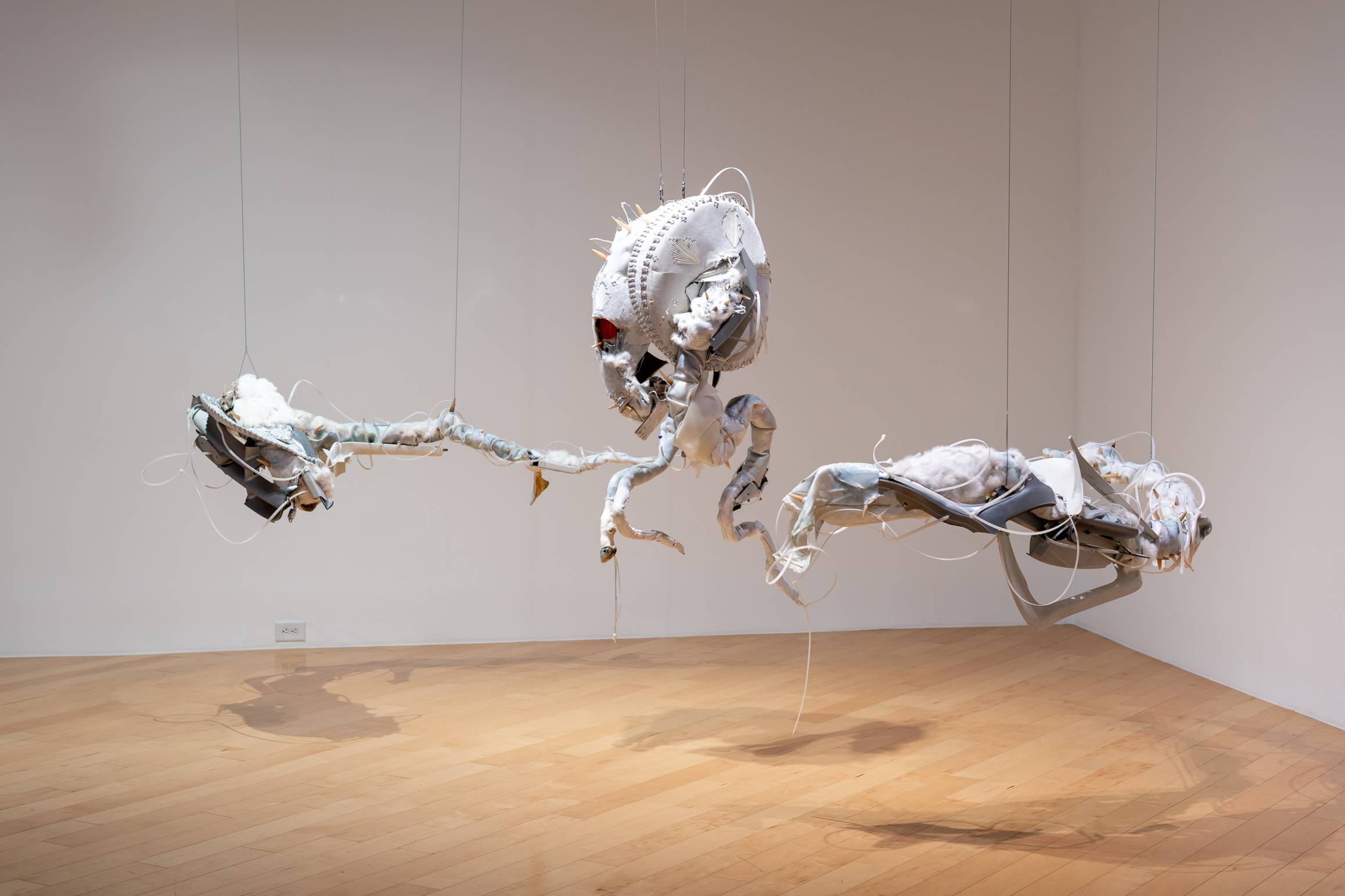 Outburst Project: Karla Ekatherine Canseco, Maria Maea, Clara Nieblas ...