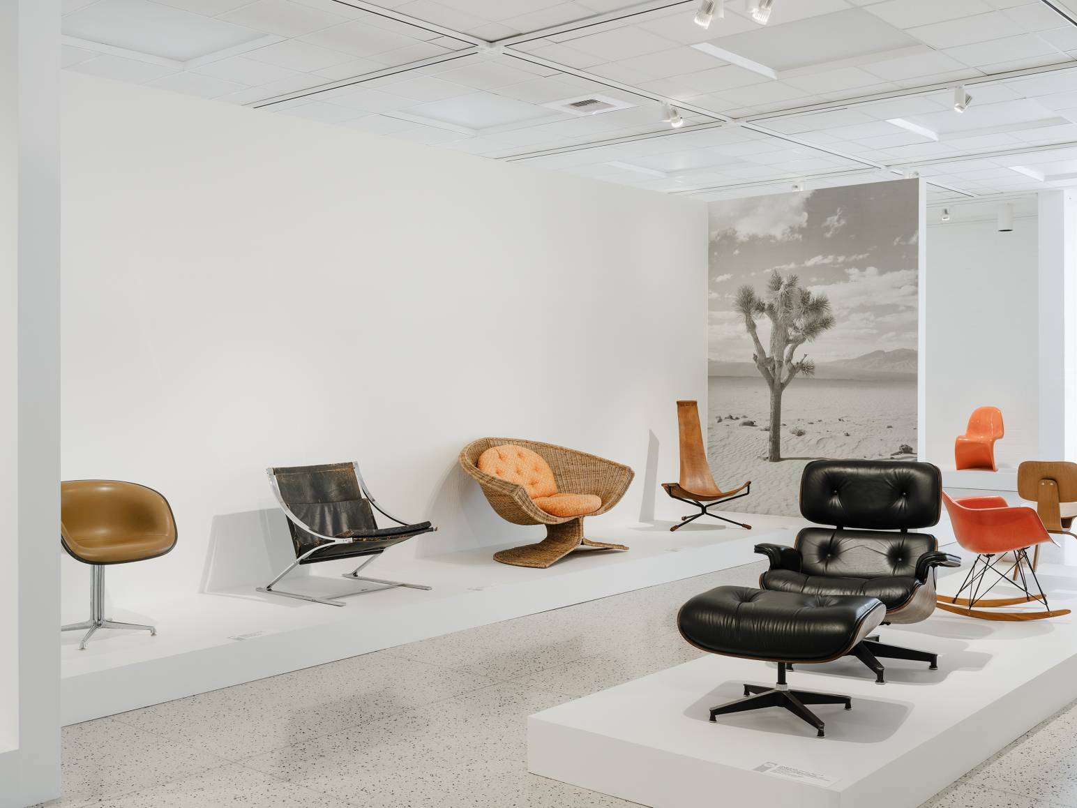 The Modern Chair | Palm Springs Art Museum