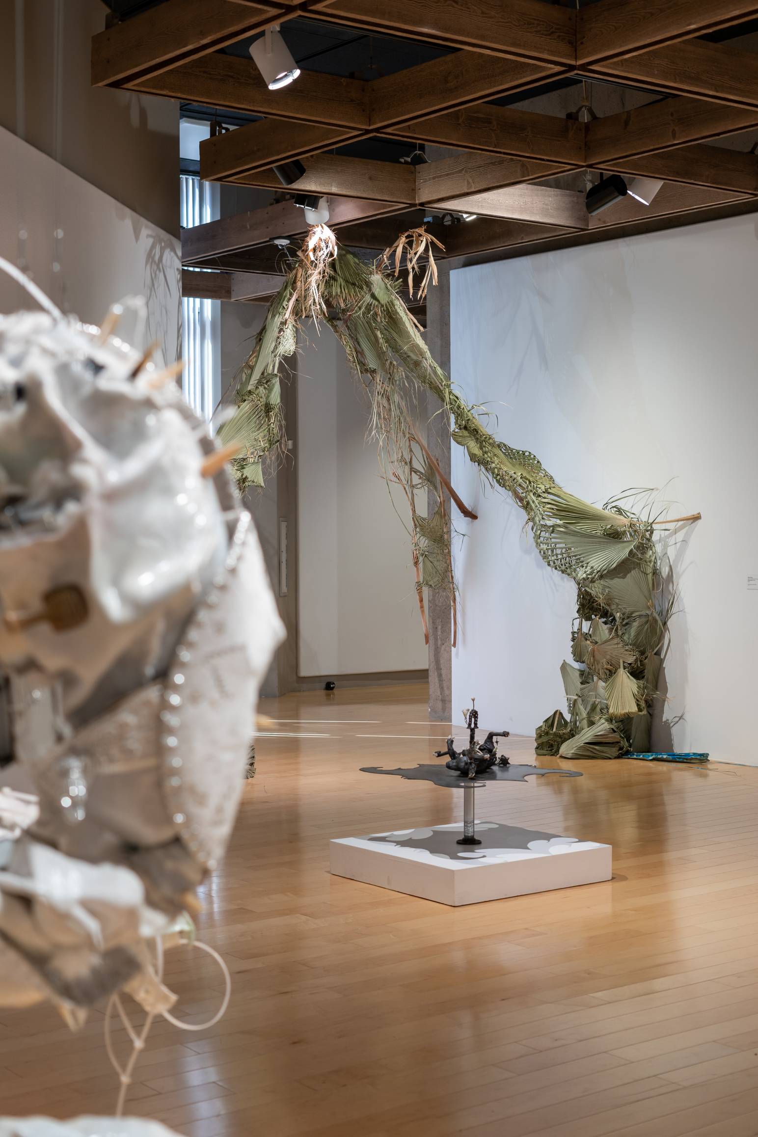 Outburst Project: Karla Ekatherine Canseco, Maria Maea, Clara Nieblas ...