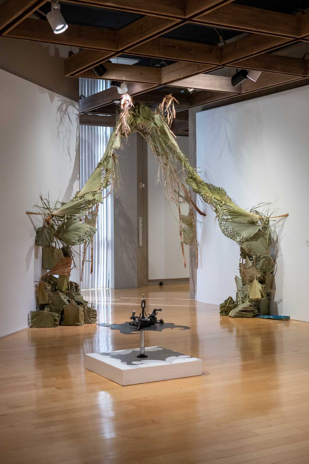 Palm Springs Art Museum | Transformative Experiences